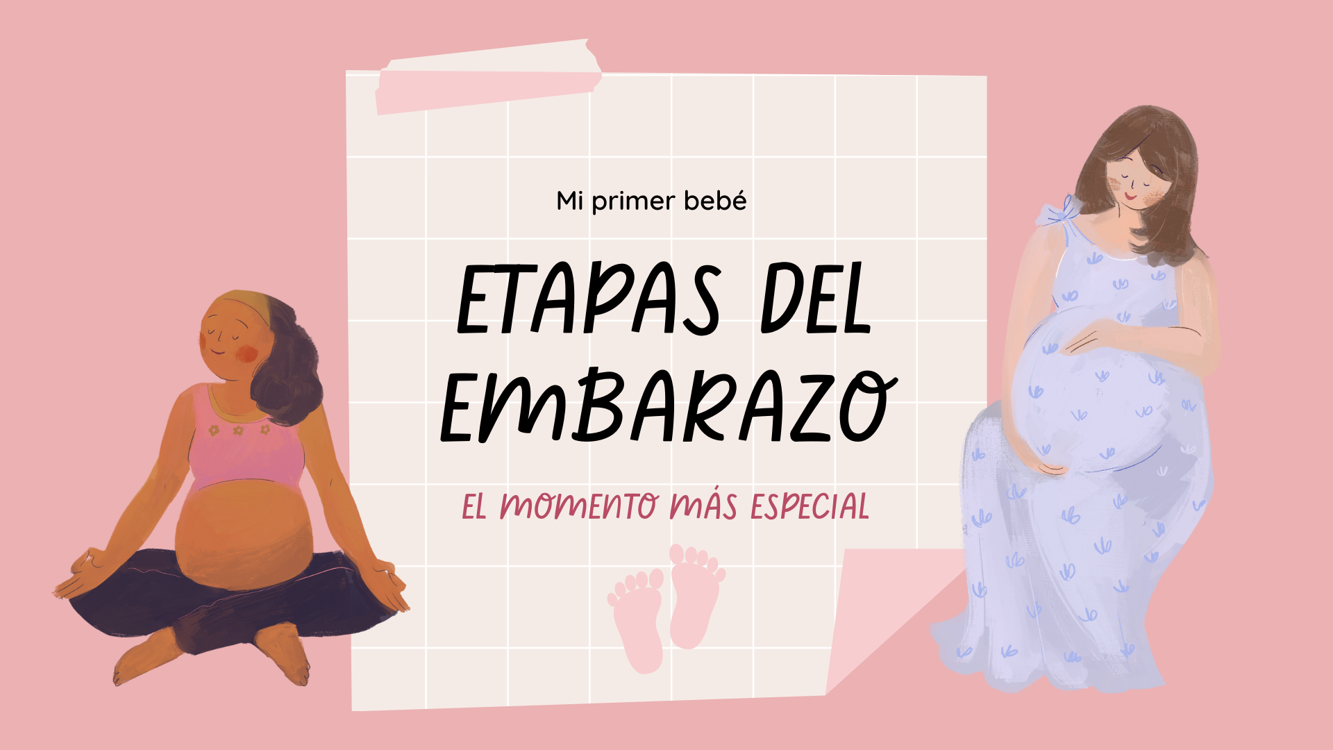 Etapas del embarazo